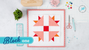 RBD Block Challenge 2024 - Block 1 by Lori Holt