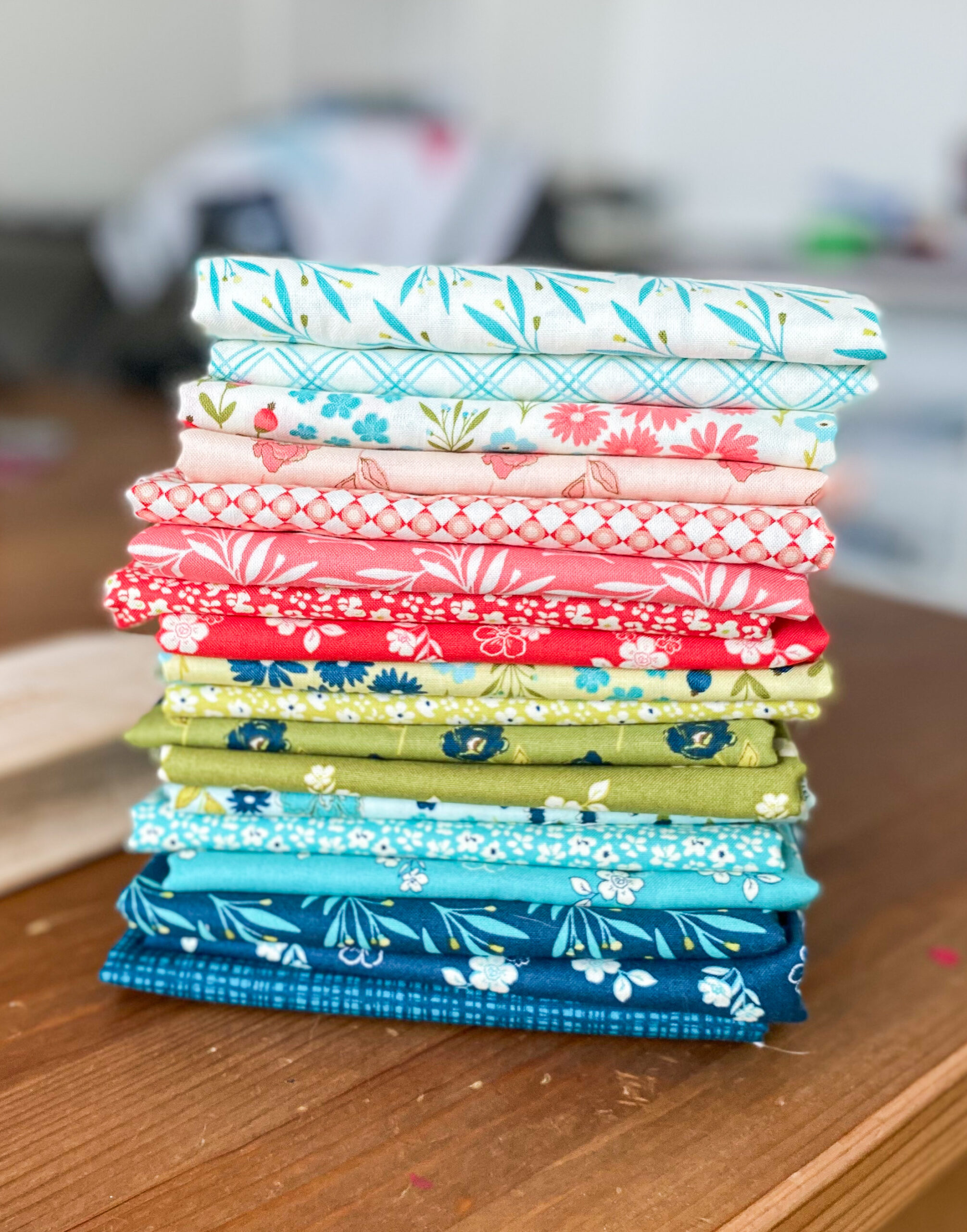 Bucket List Baby Bird Quilt with Feed My Soul