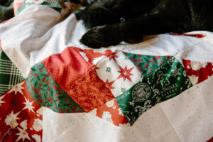 Christmas in the Cabin with Merry Little Christmas by My Mind's Eye