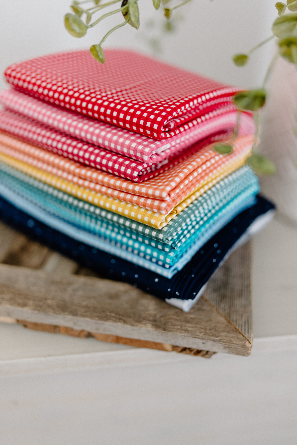 Eloise in Gingham Basics by Riley Blake