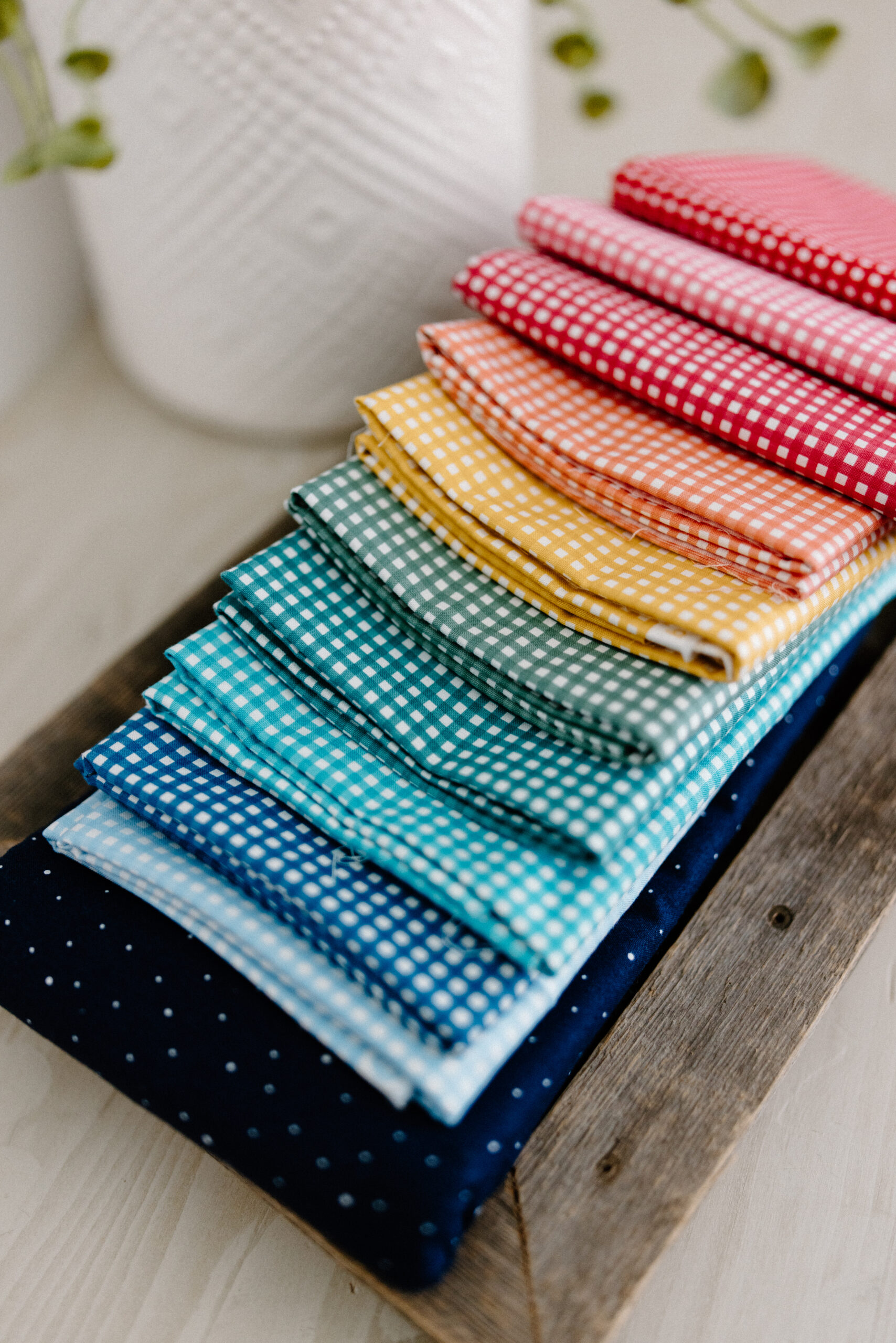 Eloise in Gingham Basics by Riley Blake