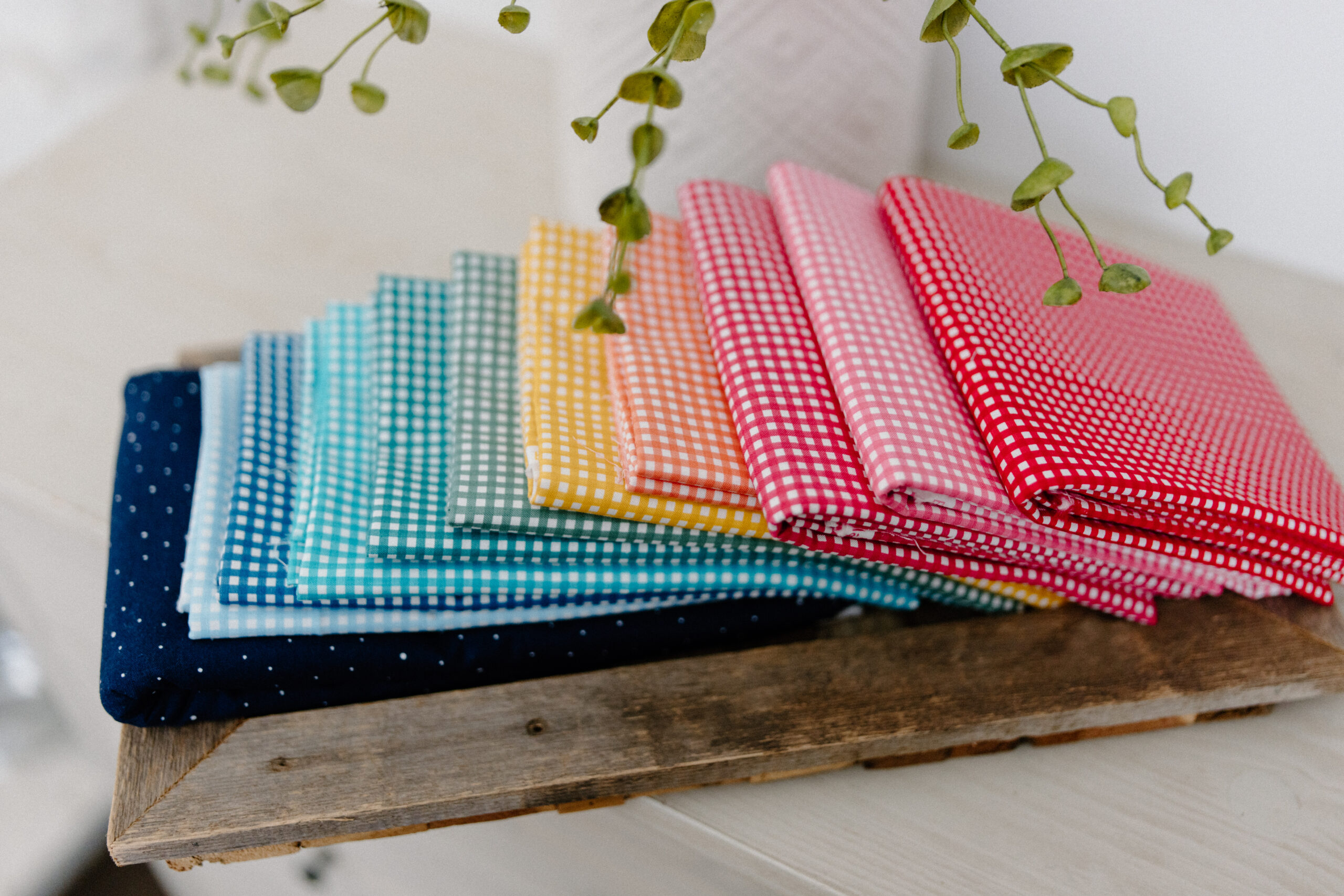 Eloise in Gingham Basics by Riley Blake