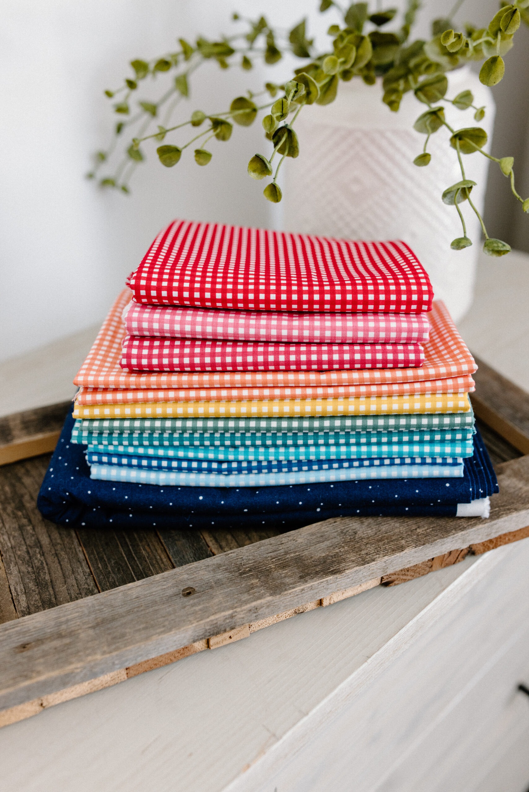 Eloise in Gingham Basics by Riley Blake