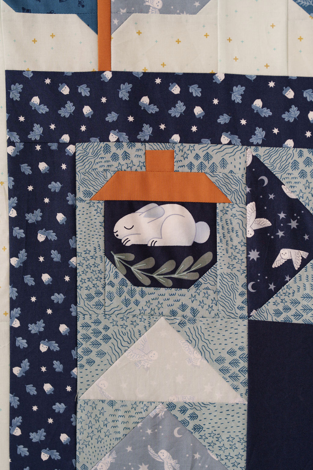 Mix And Match Magic: A Medallion Quilt With the Twilight Creatures Panel