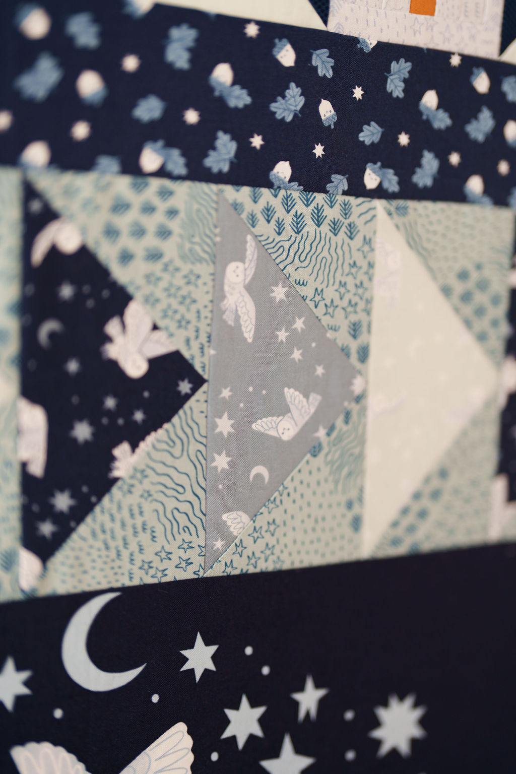 Mix And Match Magic: A Medallion Quilt With the Twilight Creatures Panel