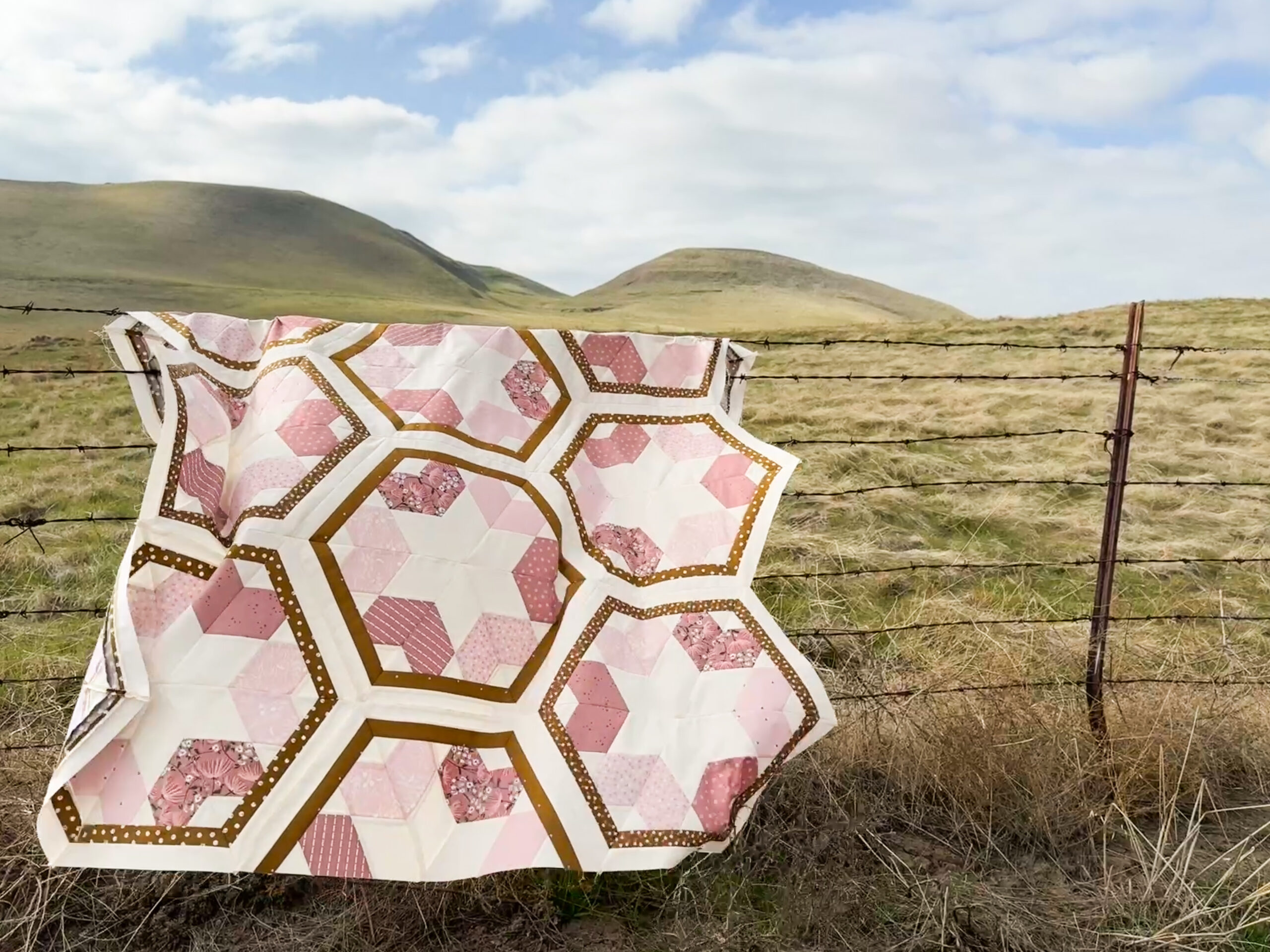 Blush 'N Butterscotch - Heart Cookies Quilt