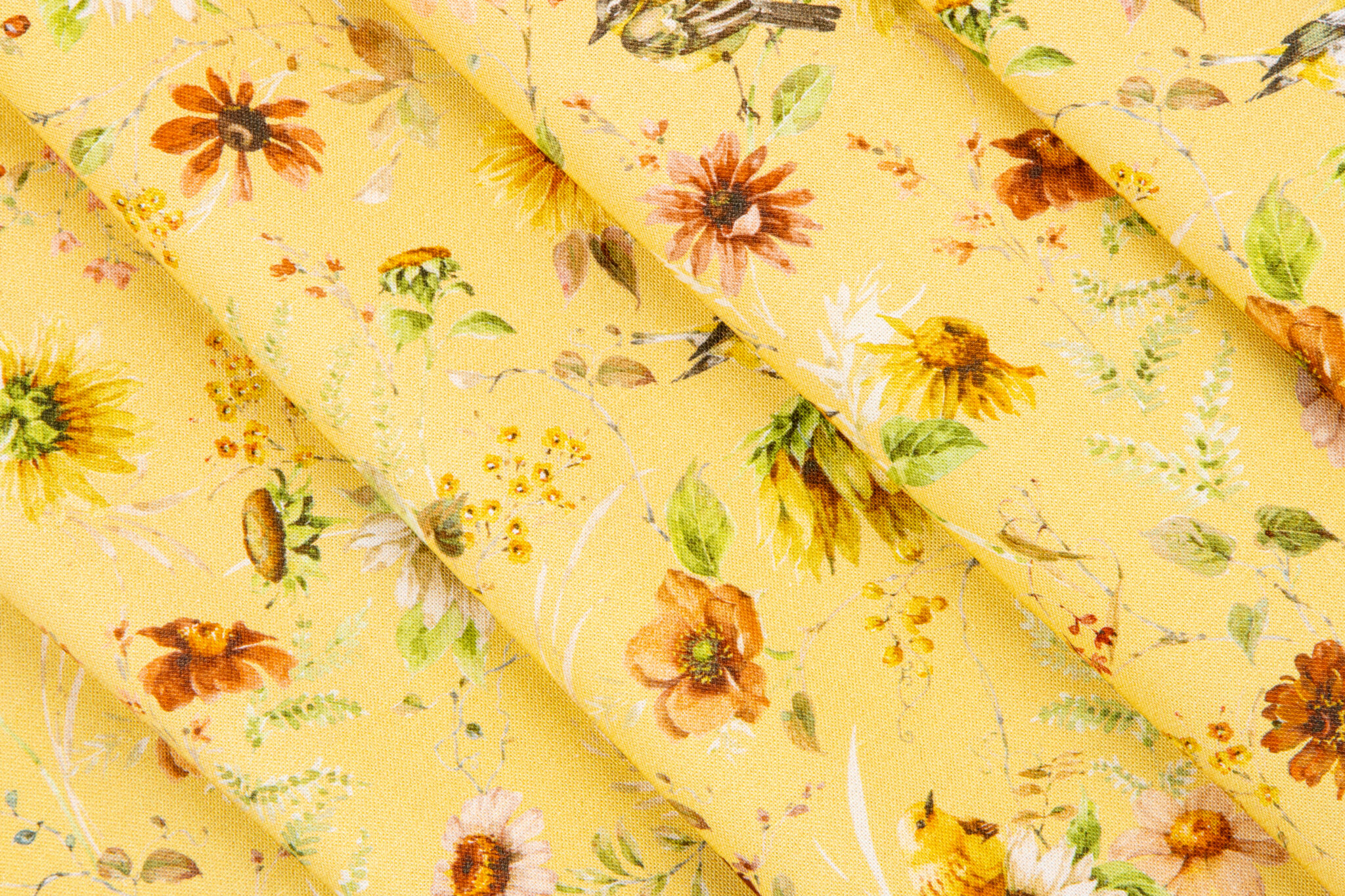 Sunflower Whispers by Lisa Audit