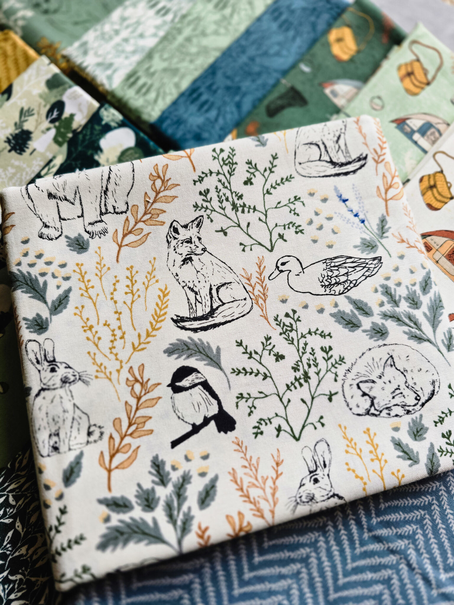 Let’s Wander with Sunday Morning Quilt – Rolie Polie Friendly Pattern