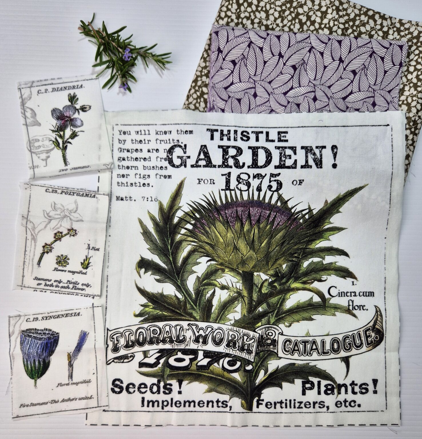 Sewing Seeds III with Amanda Rowland